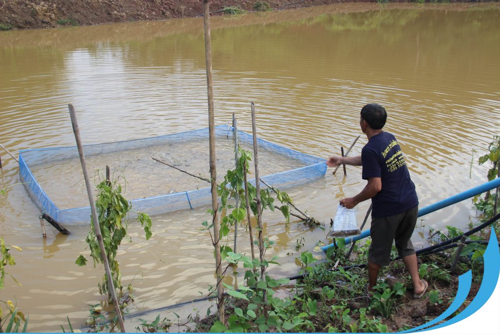 Fish raising in pond with water circulation system | Nam Ngiep1 Power ...